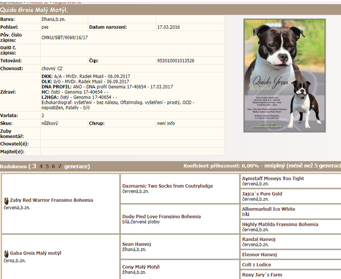 Vrh A :: Postman Bulls