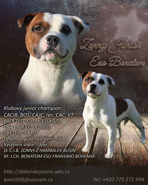 Vrh E :: Postman Bulls